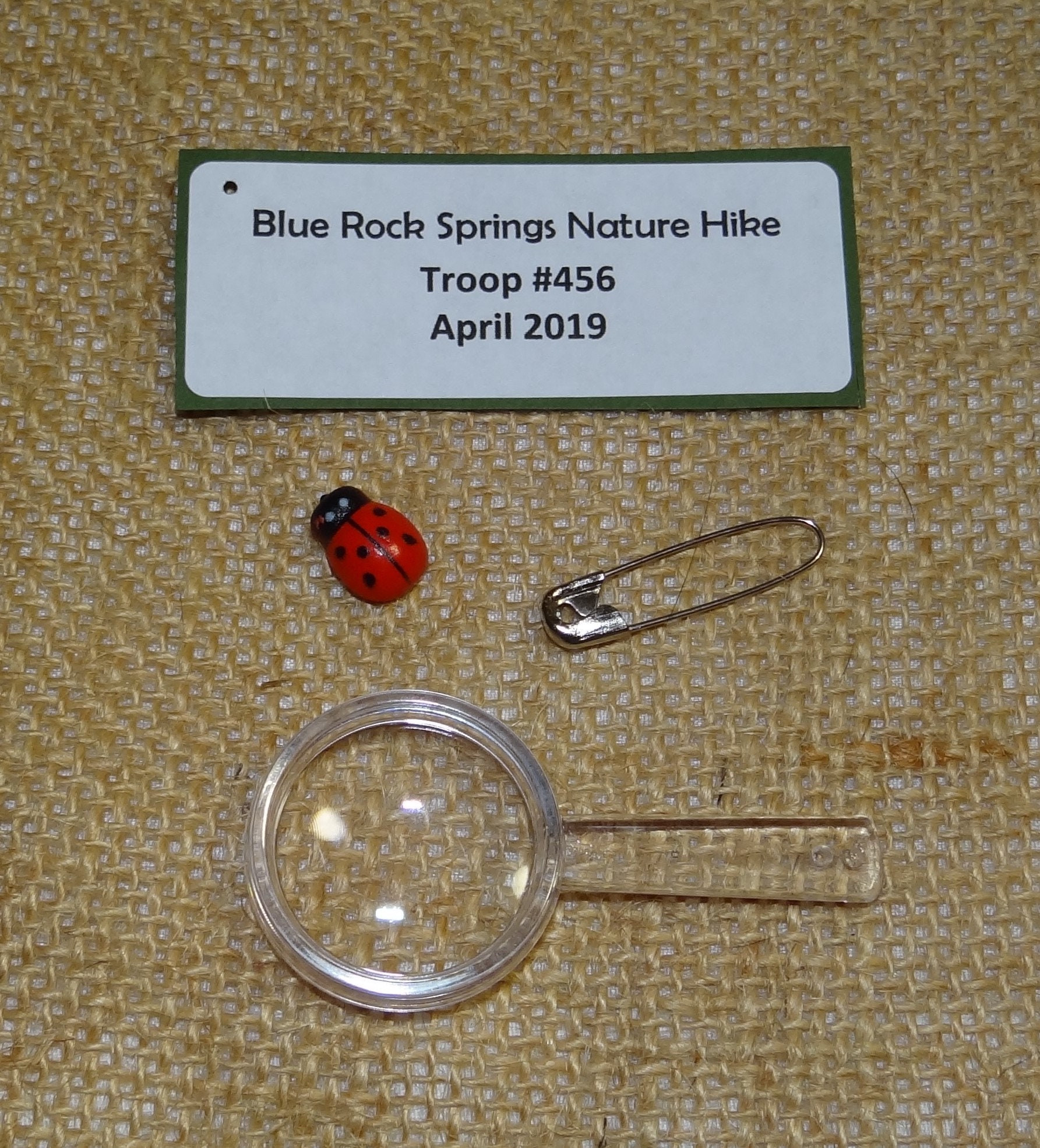 Set of Ten 10 Lady Bug Ladybug on a Magnifying Glass Scout - Etsy