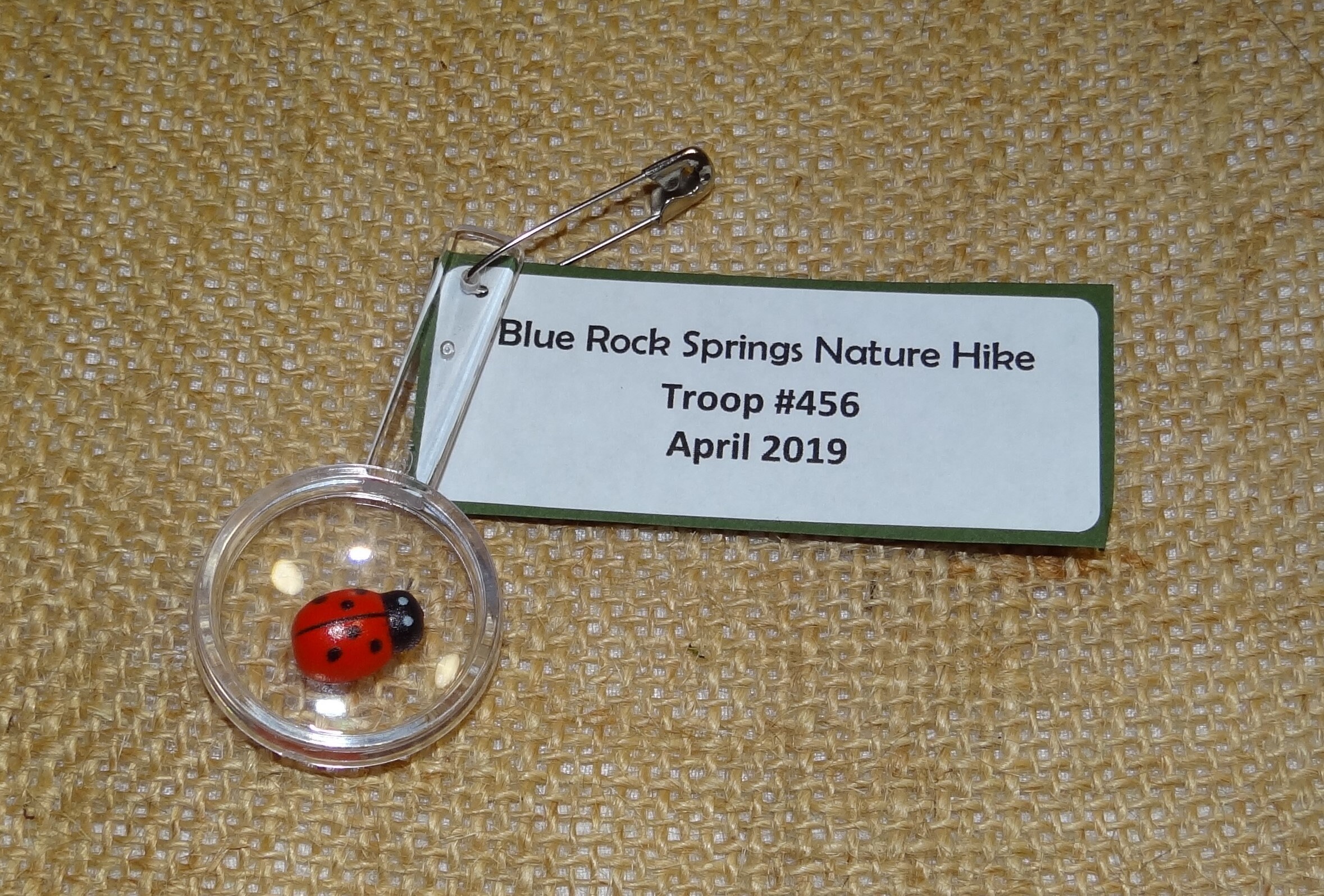 Set of Ten 10 Lady Bug Ladybug on a Magnifying Glass Scout - Etsy