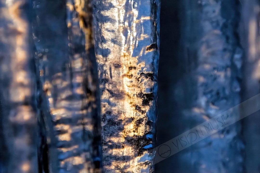 Icicles Ice Winter Cold Canada Frozen Nature Photograph (digital ...