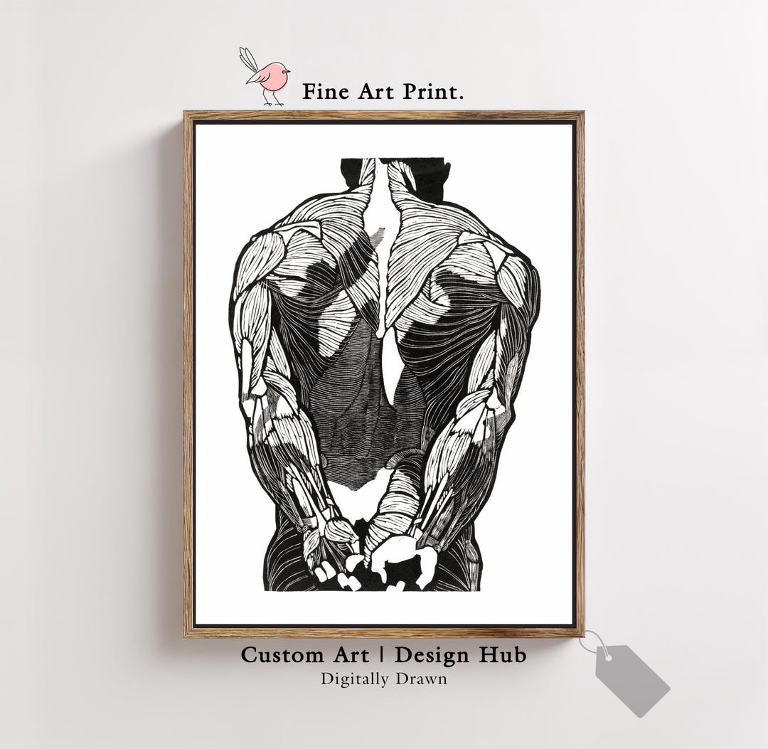 Black and White Anatomy Print, Male Muscular System Wall Art, Medical ...