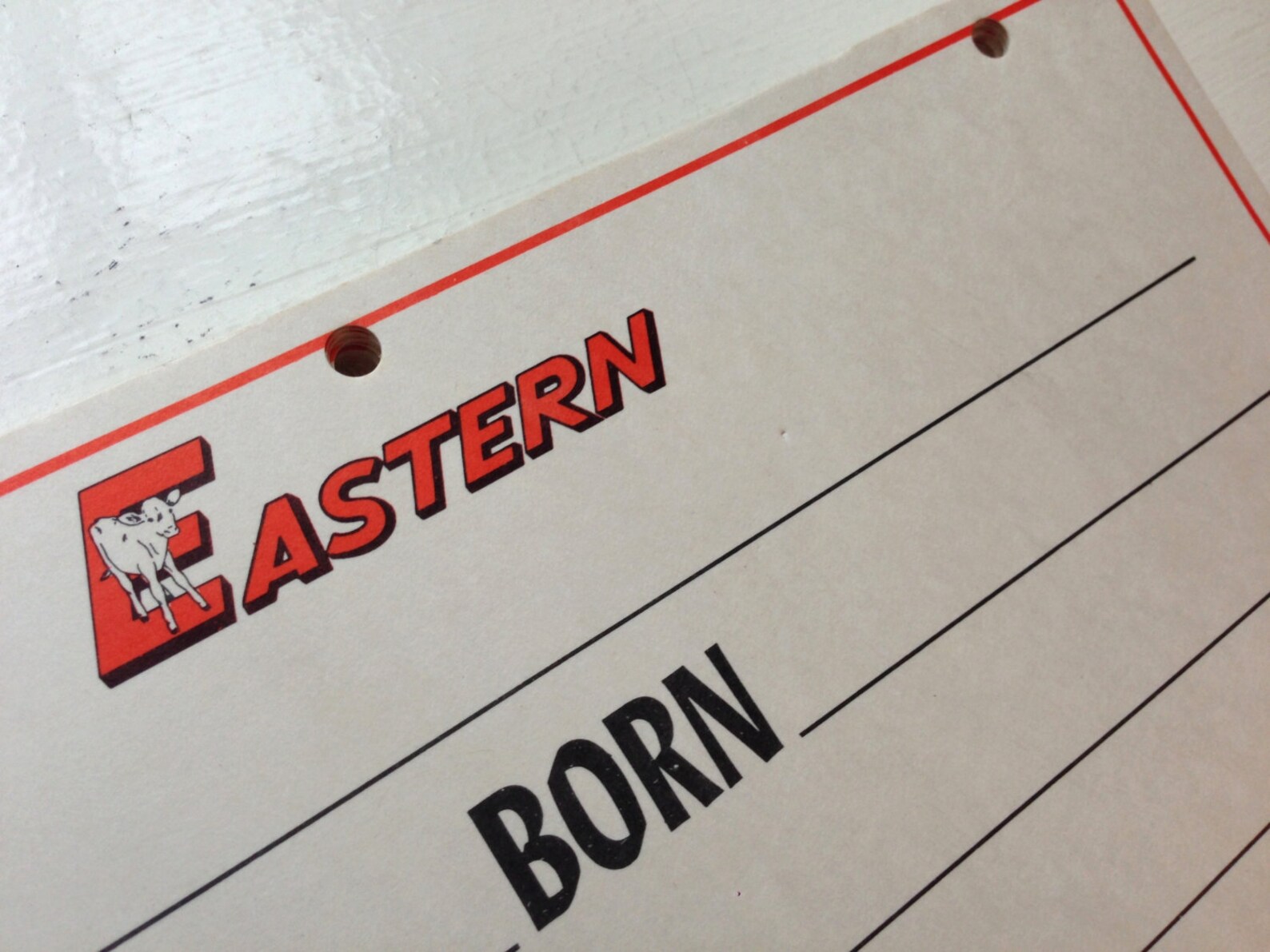 Farm Sign . Calf Breeding Record . Barn Sign . Stall Marker . - Etsy