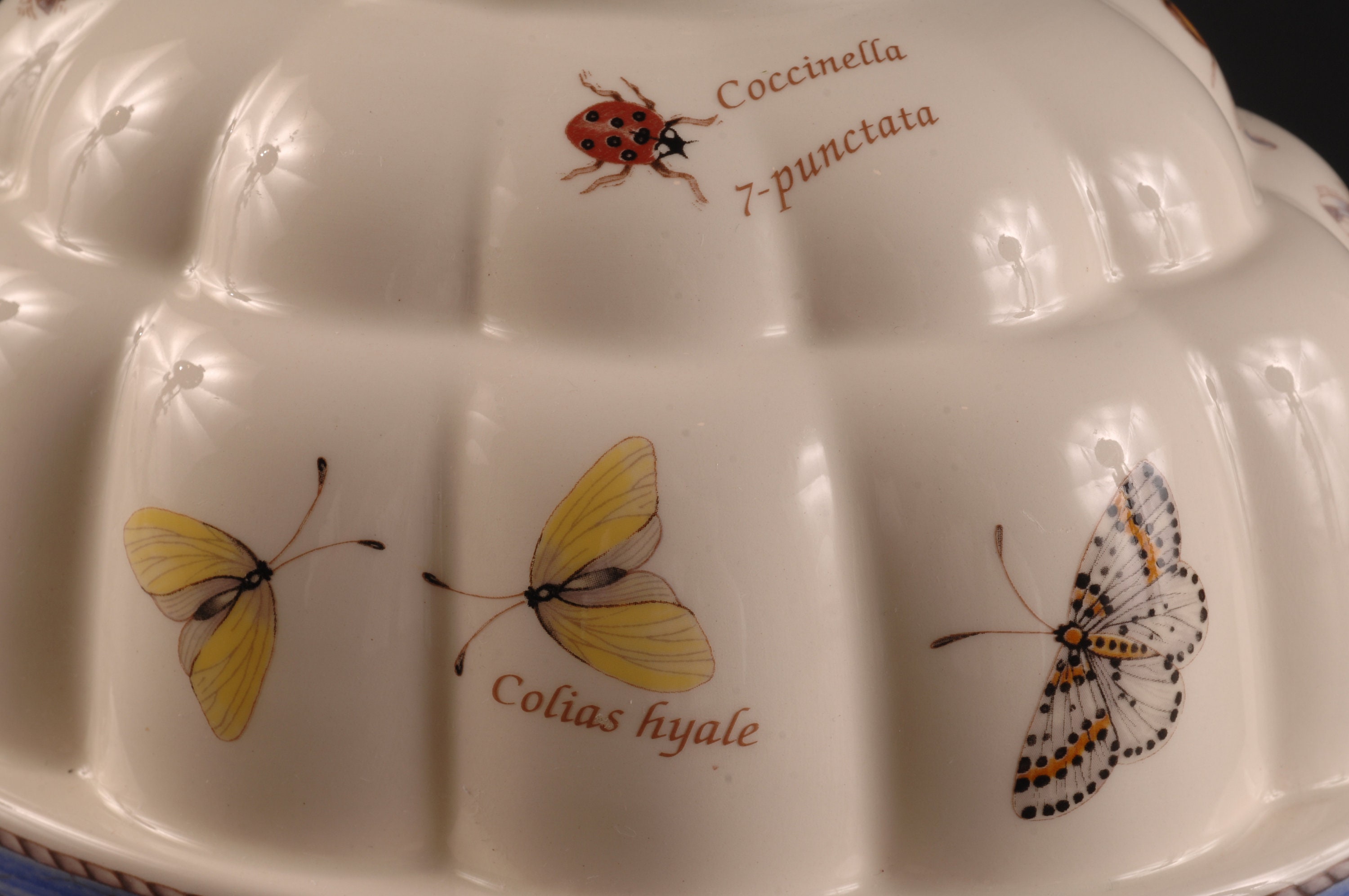 Wedgwood Sarah's Garden China Mold - Vintage Ceramic Collectible Dining ...