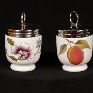 Royal Worcester Botanical Flowers Astley Evesham Patterns Egg Coddlers ...
