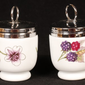 Royal Worcester Botanical Flowers Astley Evesham Patterns Egg Coddlers ...