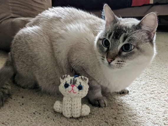 Personalized Mini Cat Amigurumi Toy A Custom Pusstat for | Etsy