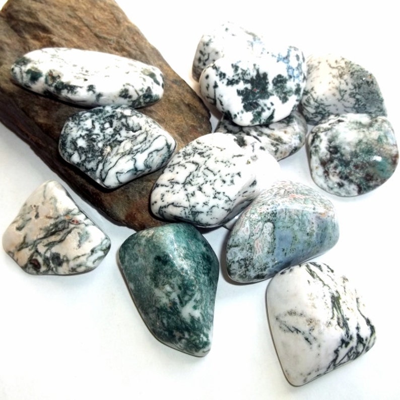 Polished Tree Agate Gemstone Tumble Stone Specimen Reiki Crystal ...