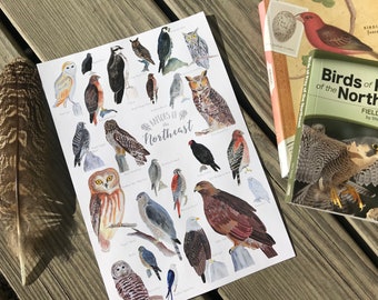 Bird of Prey Poster | Etsy