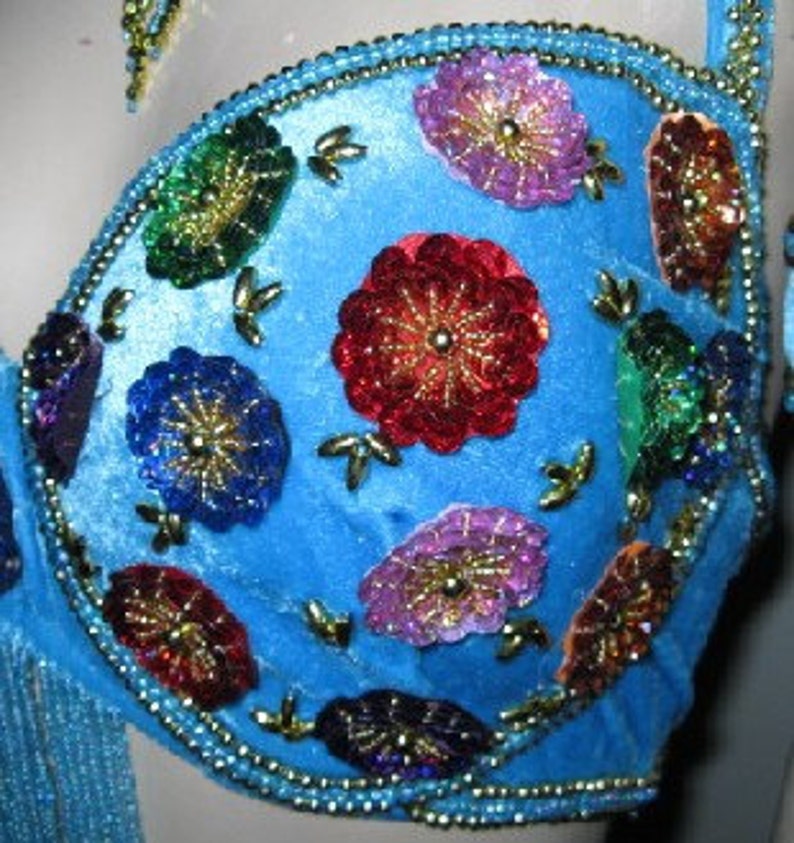 PLUS Size Lush VELVET Belly Dance DD Cups 47 Inch Hips Costume ...