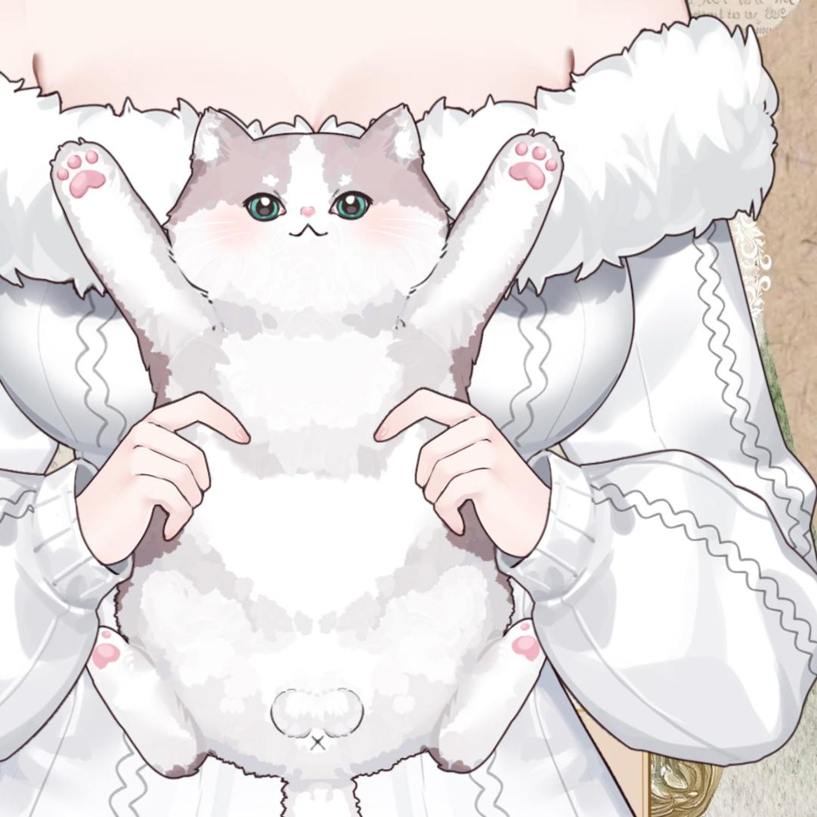 Ragdoll Cat Outfit | Live2d Outfit Asset | 3 Toggles - Etsy