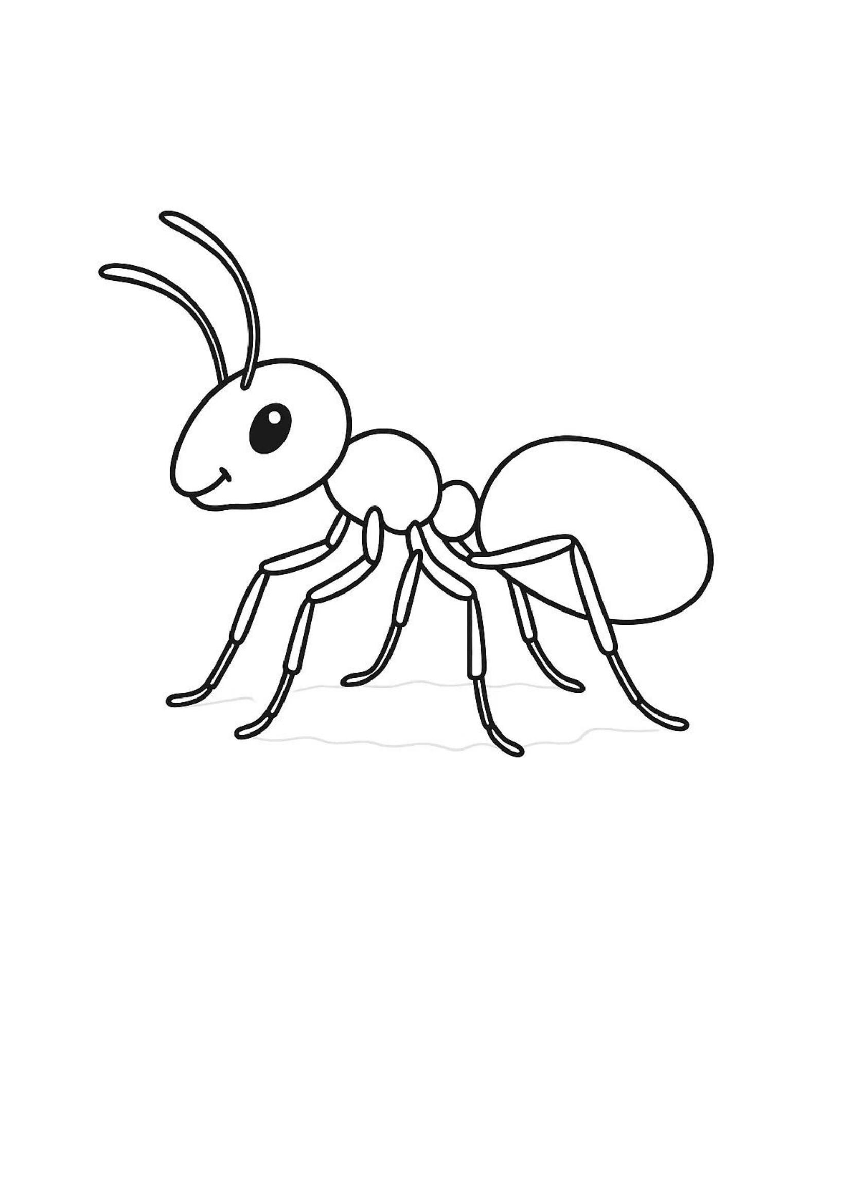 The Underground World of Insects Coloring Storybook PDF for Kids ...