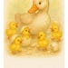 The Ugly Duckling Storybook: Kids Digital Fairy Tale With Character Art ...