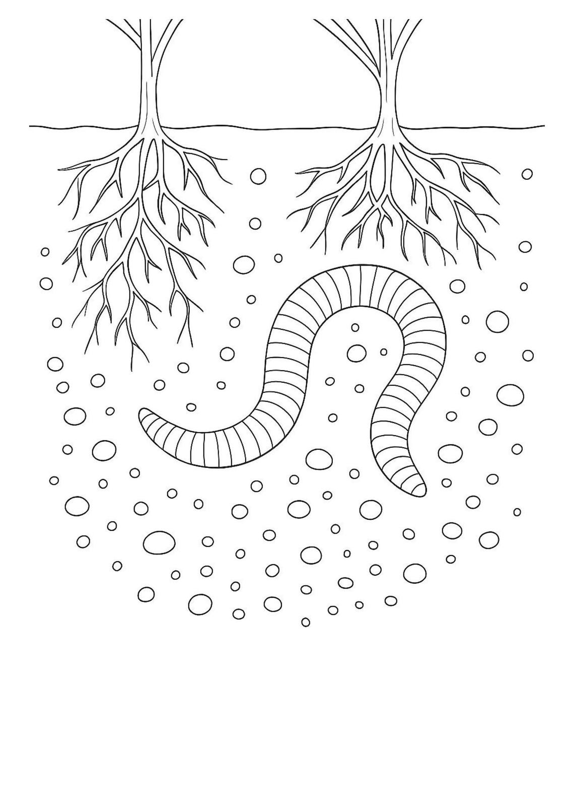 The Underground World of Insects Coloring Storybook PDF for Kids ...