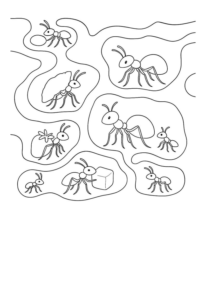 The Underground World of Insects Coloring Storybook PDF for Kids ...