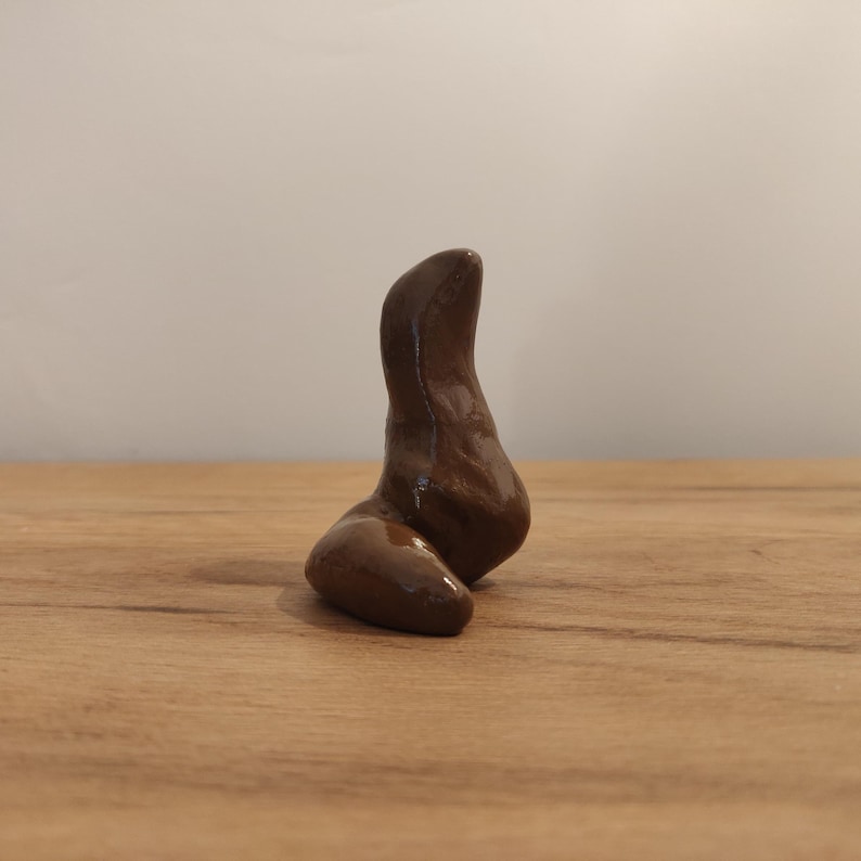 Pet Poo ® Figure - Realistic Piece of Shit - Etsy