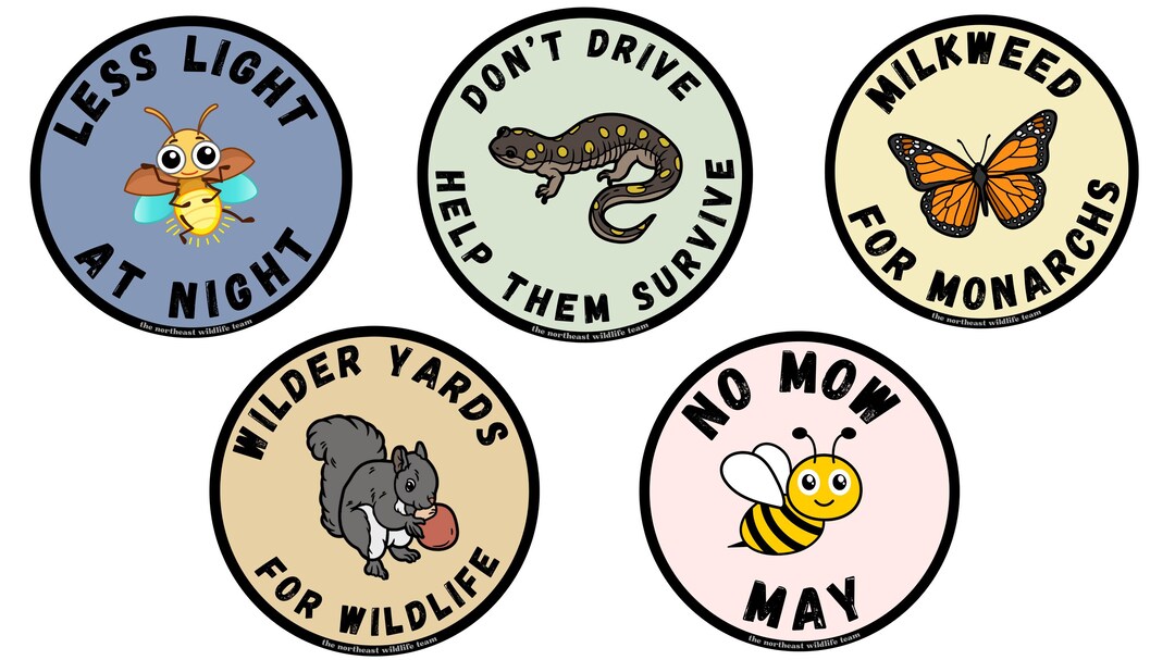 Round Stickers, Water Bottle Stickers, Animal Stickers, Conservation ...
