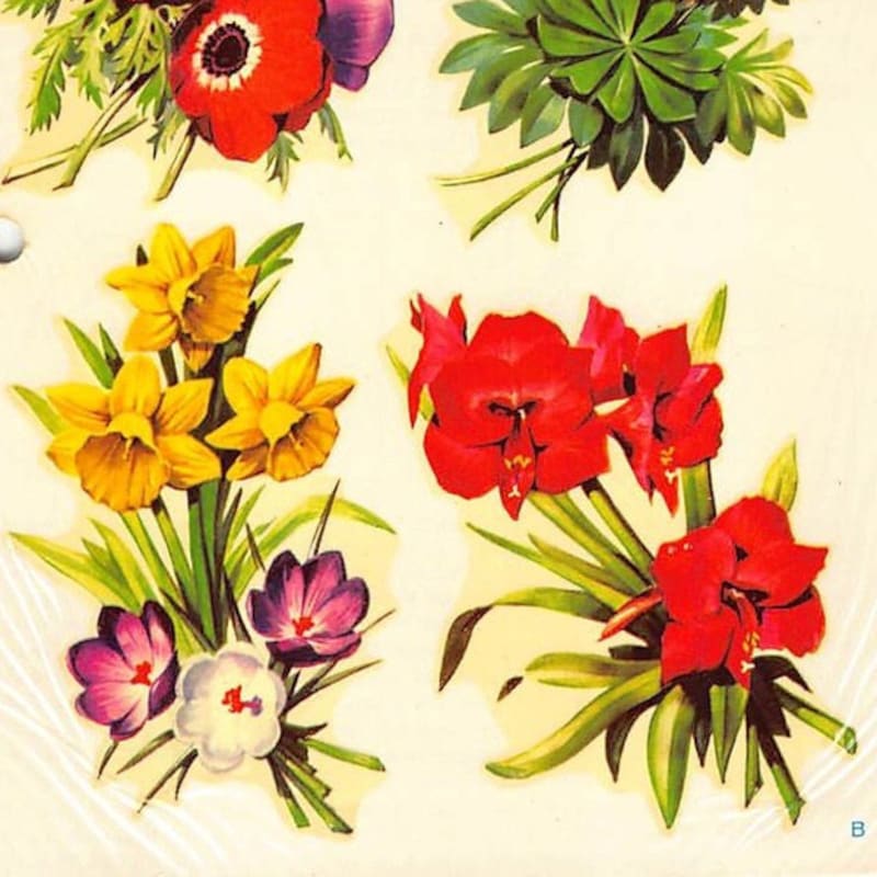 1960s Flower Decals - Etsy
