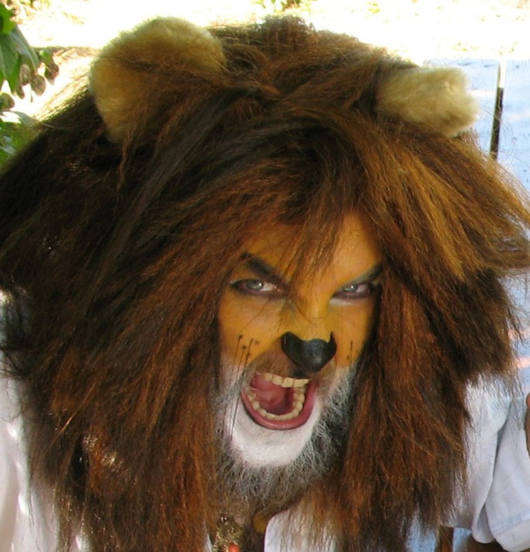 Lion Costume - Mane and Tail - Etsy