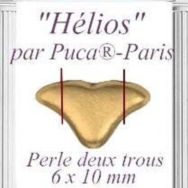 Shelly Shells - Etsy