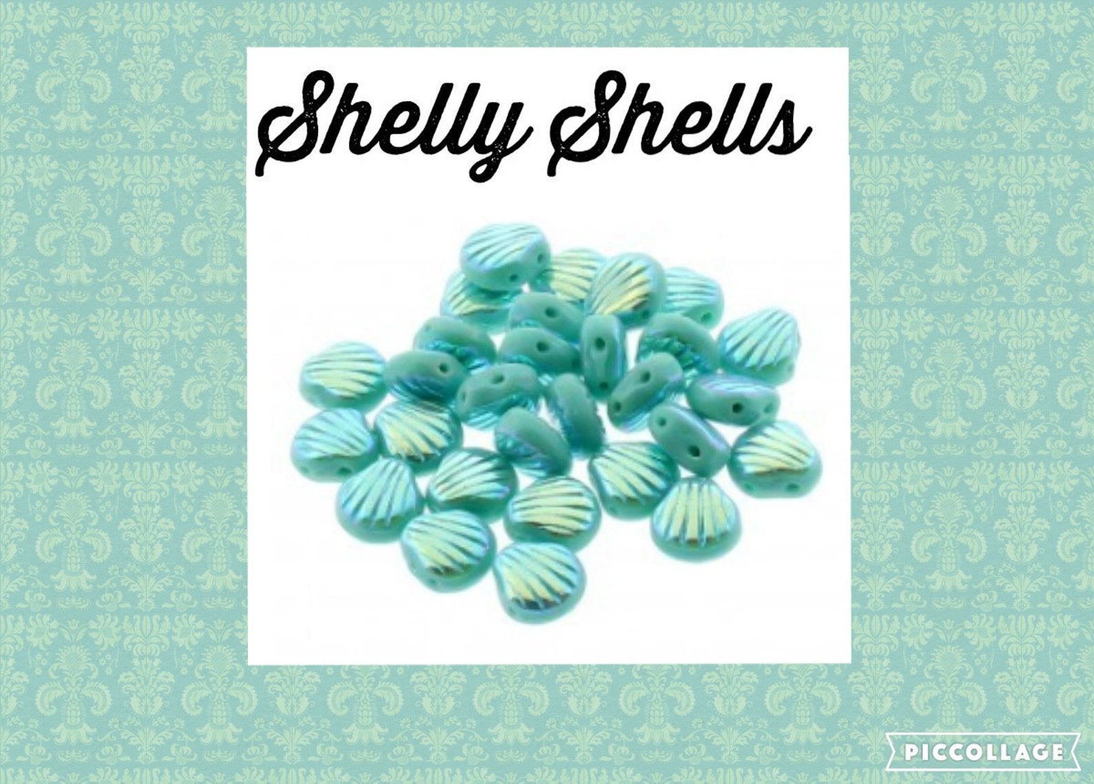 Shelly Shells - Etsy