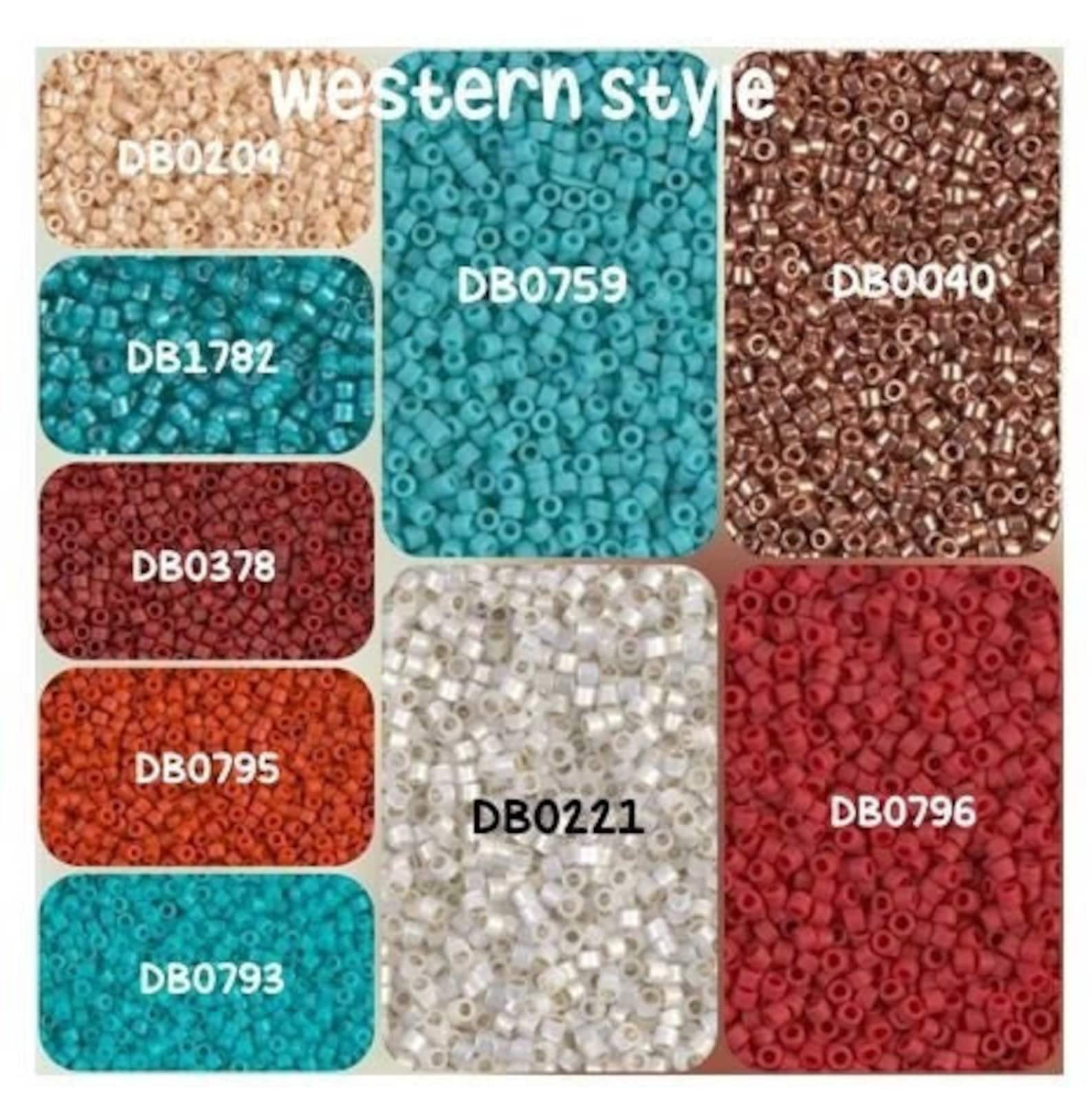 Delica Lot Western 11/0 Delica 9 Color Lot 5-grams per | Etsy