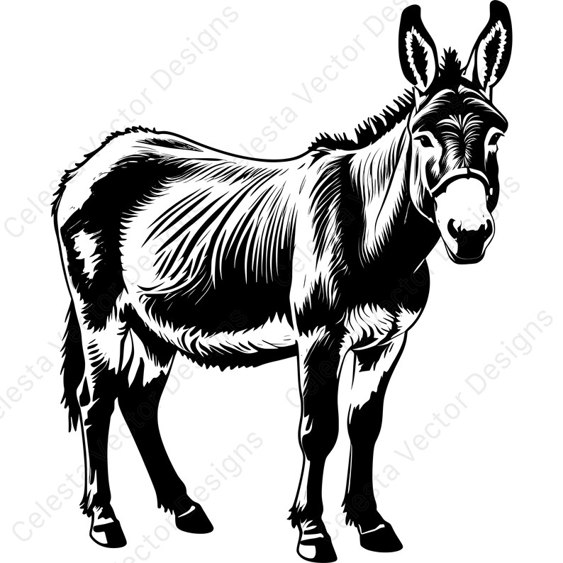 Farm Donkey Clipart Set - 4 Vector Images for Digital Download - Svg ...