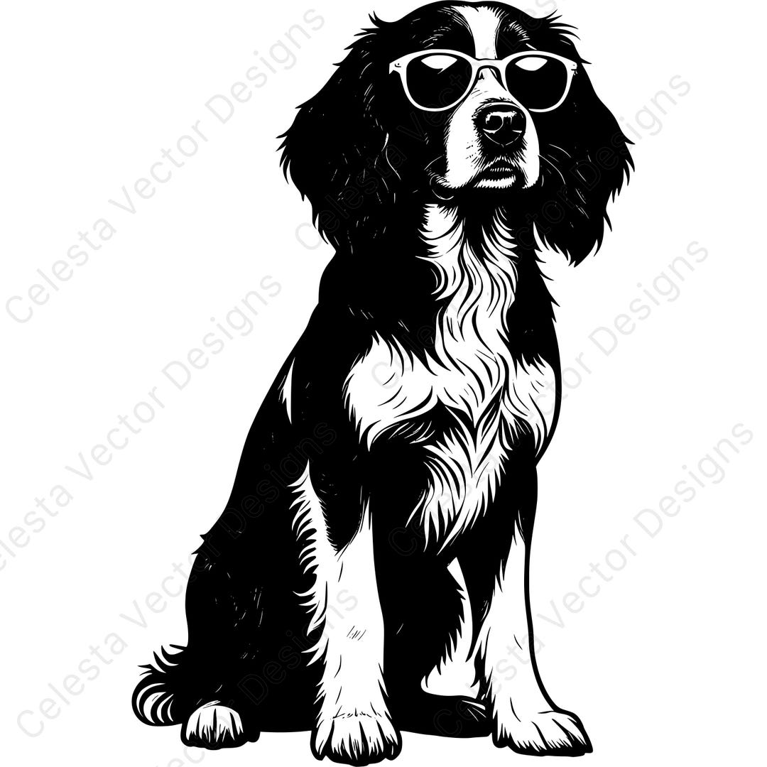 English Springer Spaniel Full Body Portrait Clipart With Cool ...