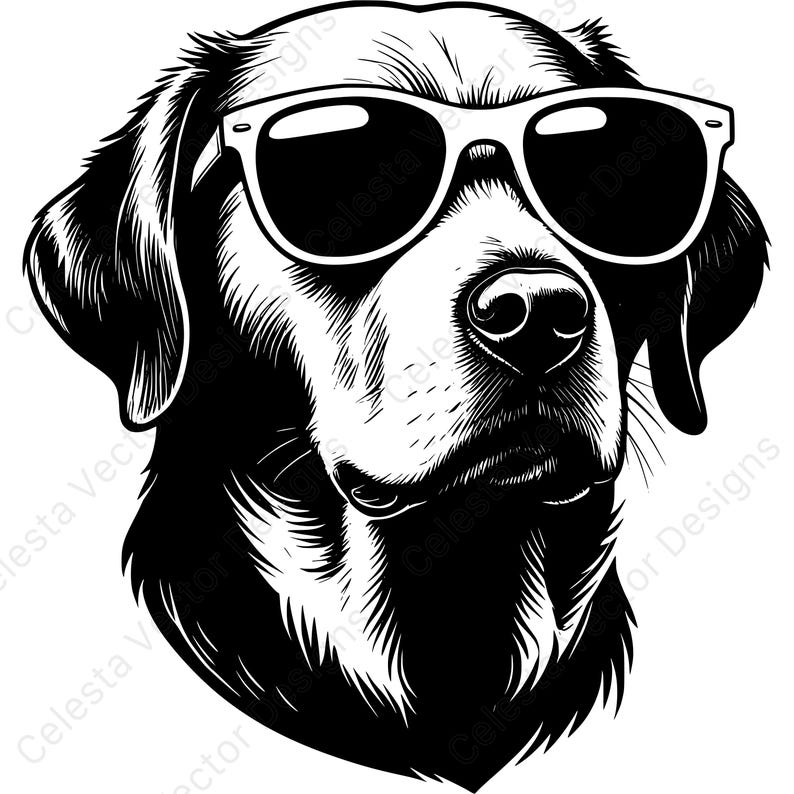 Labrador Retriever Portrait With Cool Sunglasses Vector Clipart Digital ...