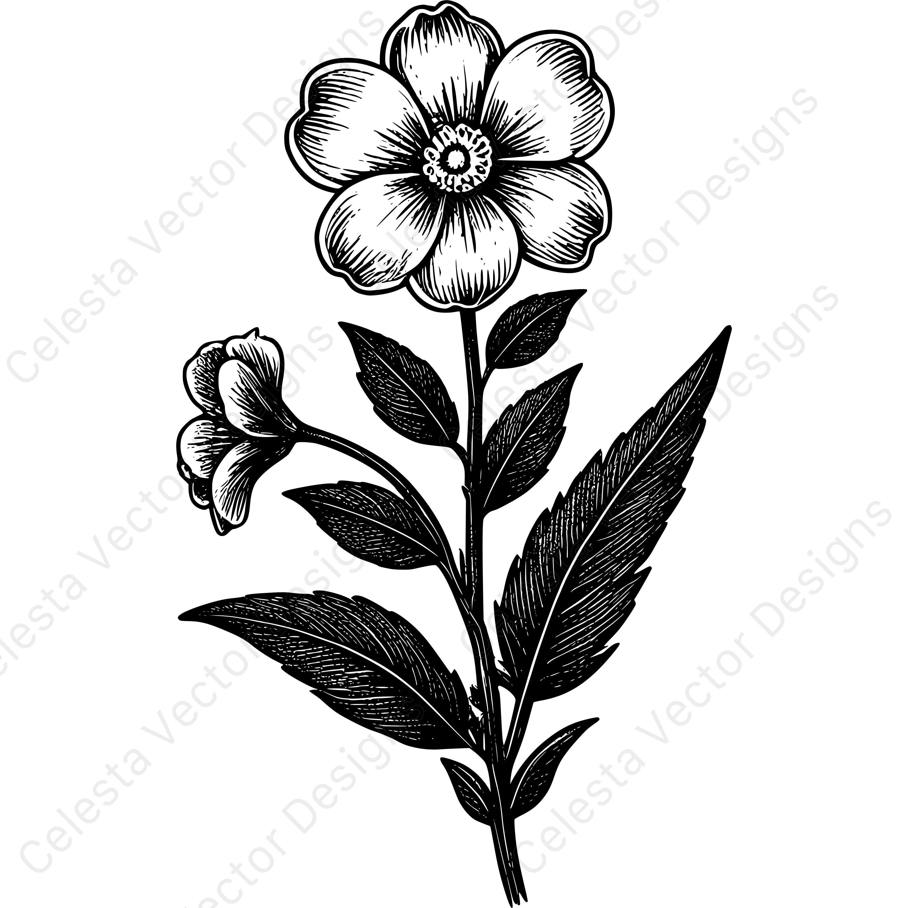Forget-me-not Vector Clipart Set - 4 Digital Download Images for Cricut ...