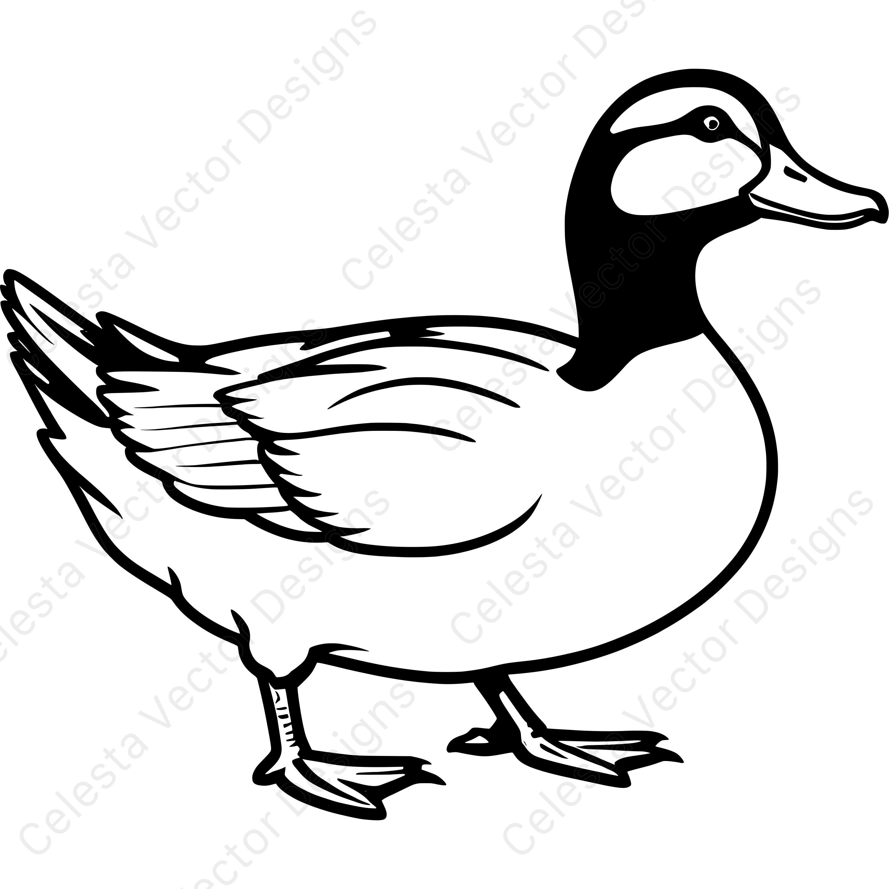 Farm Duck Vector Clipart Digital Download - 4 Images Svg Png Jpg Pdf ...