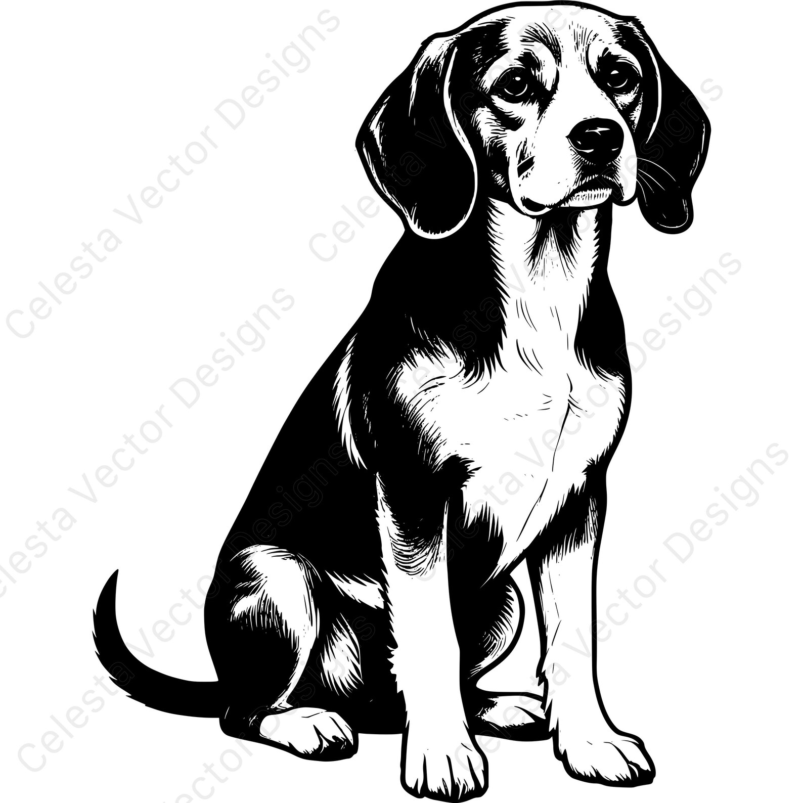 Beagle Portrait Clipart - 4 Vector Images for Digital Download (svg ...