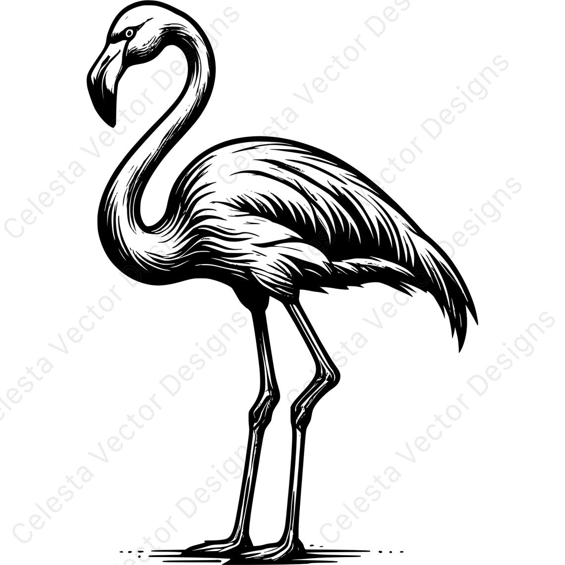 Flamingo Vector Clipart Digital Download - 4 Images Included in Svg ...