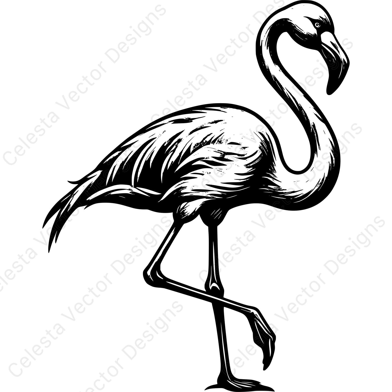Flamingo Vector Clipart Digital Download - 4 Images Included in Svg ...