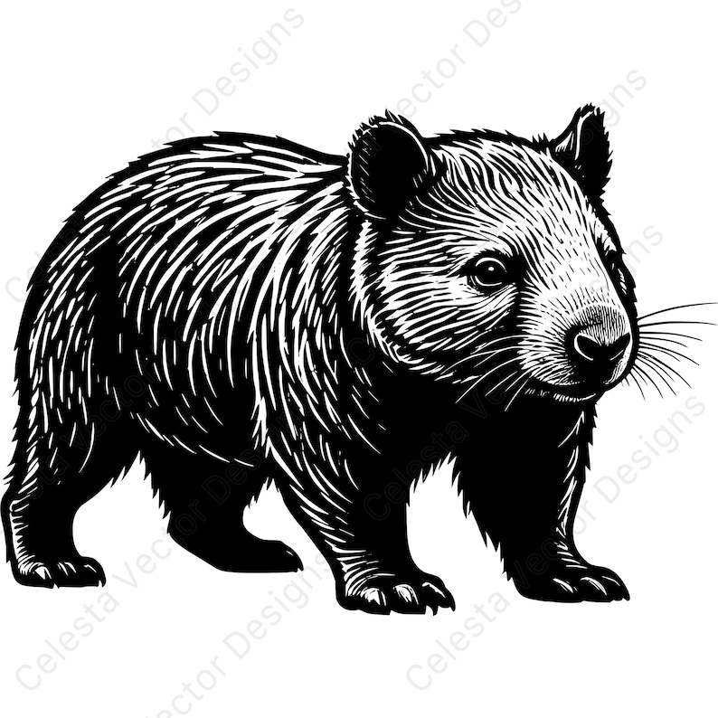 Wombat Portrait Vector Clipart Set of 4 Images Digital Download Svg Png ...