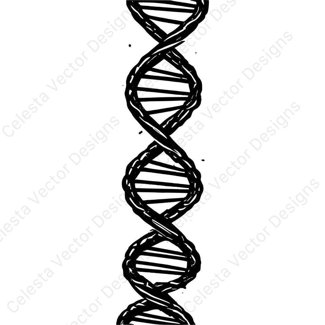 Dna Strand Vector Clipart - 4 Digital Download Images for Cricut ...