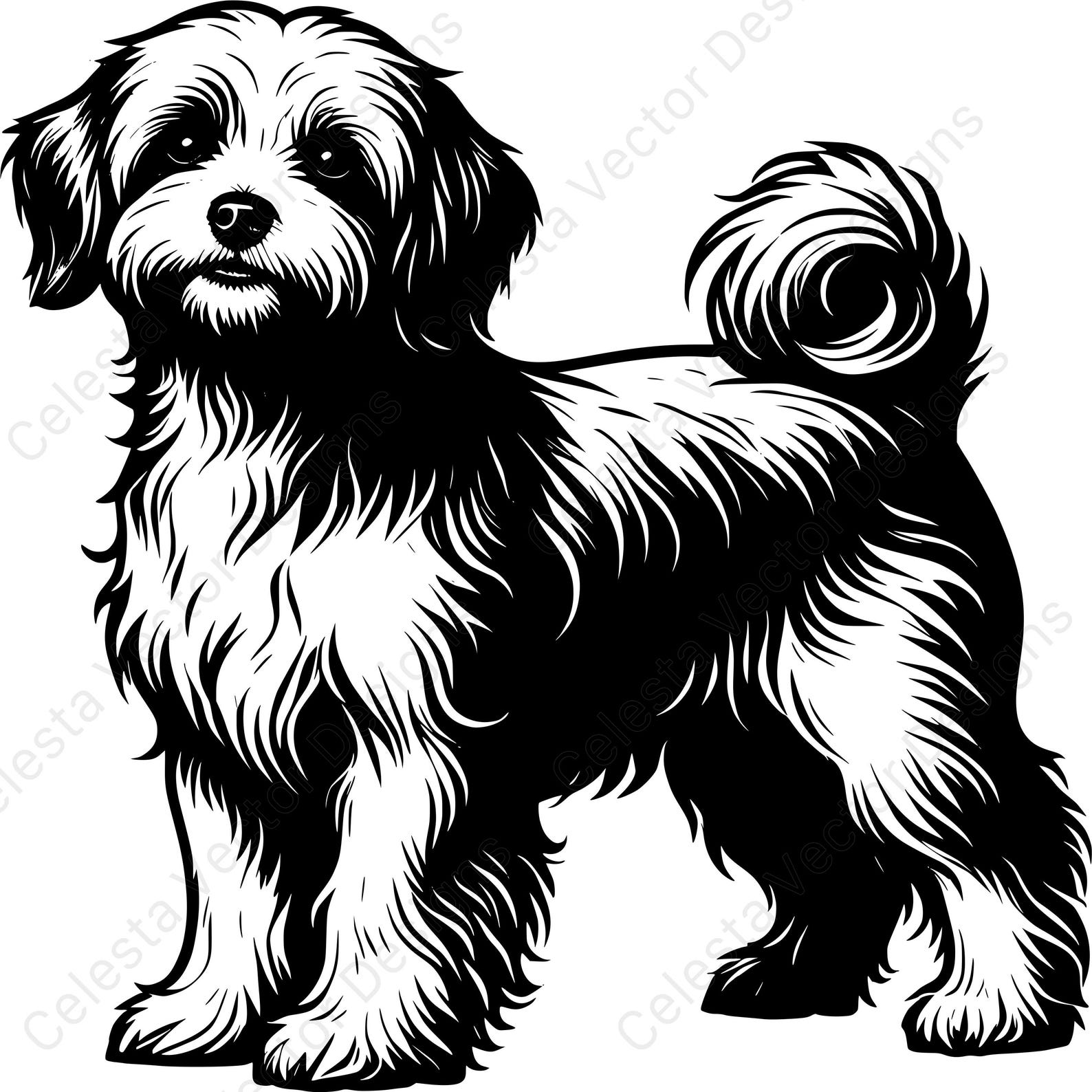 Havanese Dog Portrait Clipart, 4 Images Vector Digital Download for ...