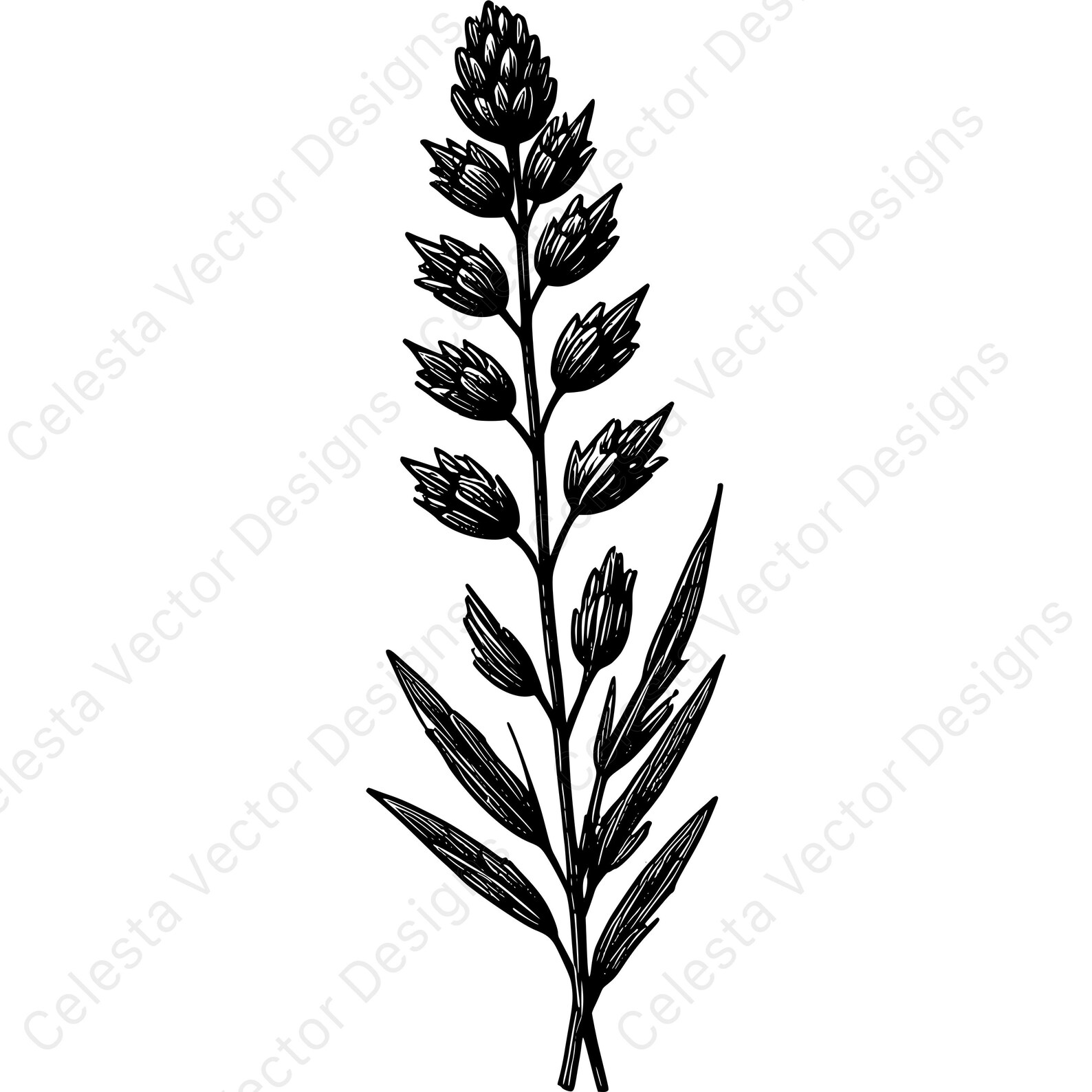 Lavender Sprig Clipart Set - 4 Vector Images for Digital Download - Svg ...
