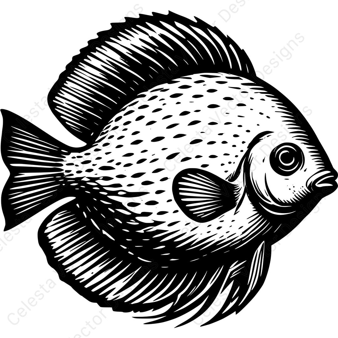 Discus Fish Vector Clipart Set - 4 Digital Download Images for Cricut ...