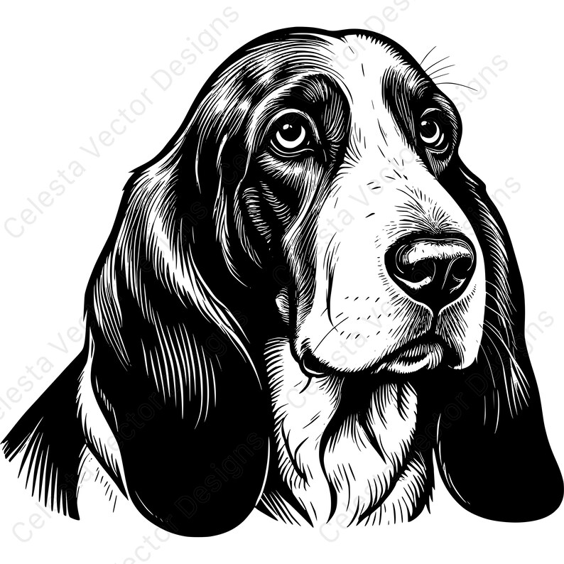 Basset Hound Portrait Vector Clipart Digital Download - 4 Images Svg ...