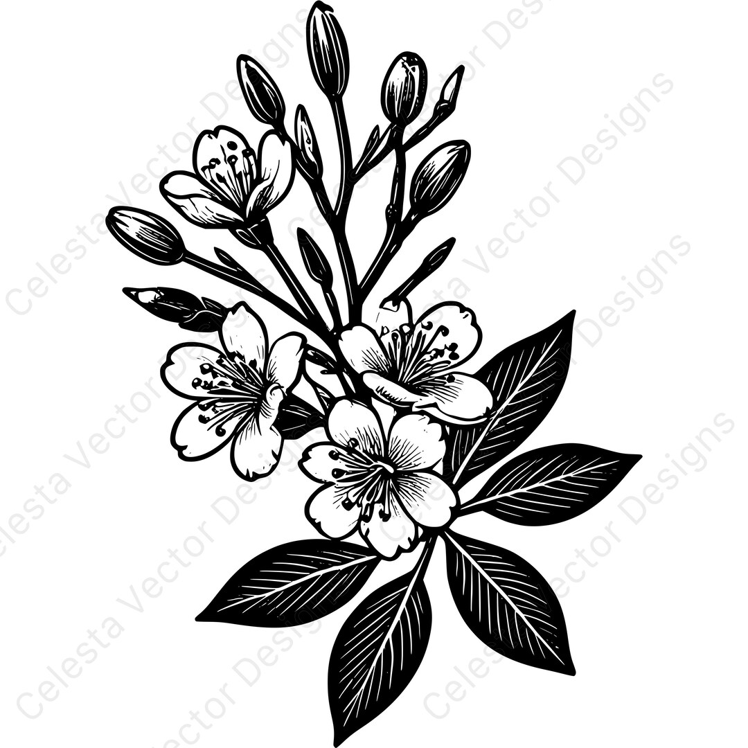 Serviceberry Bloom Vector Clipart - 4 Digital Download Images for ...
