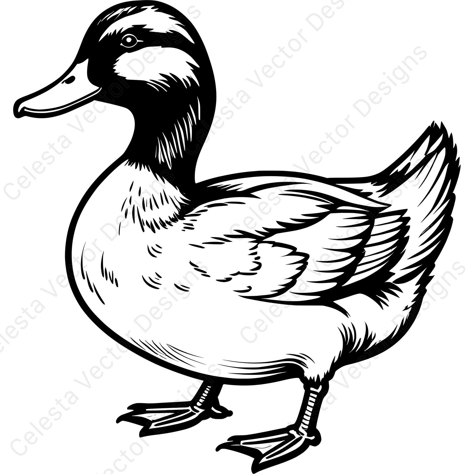 Farm Duck Vector Clipart Digital Download - 4 Images Svg Png Jpg Pdf ...