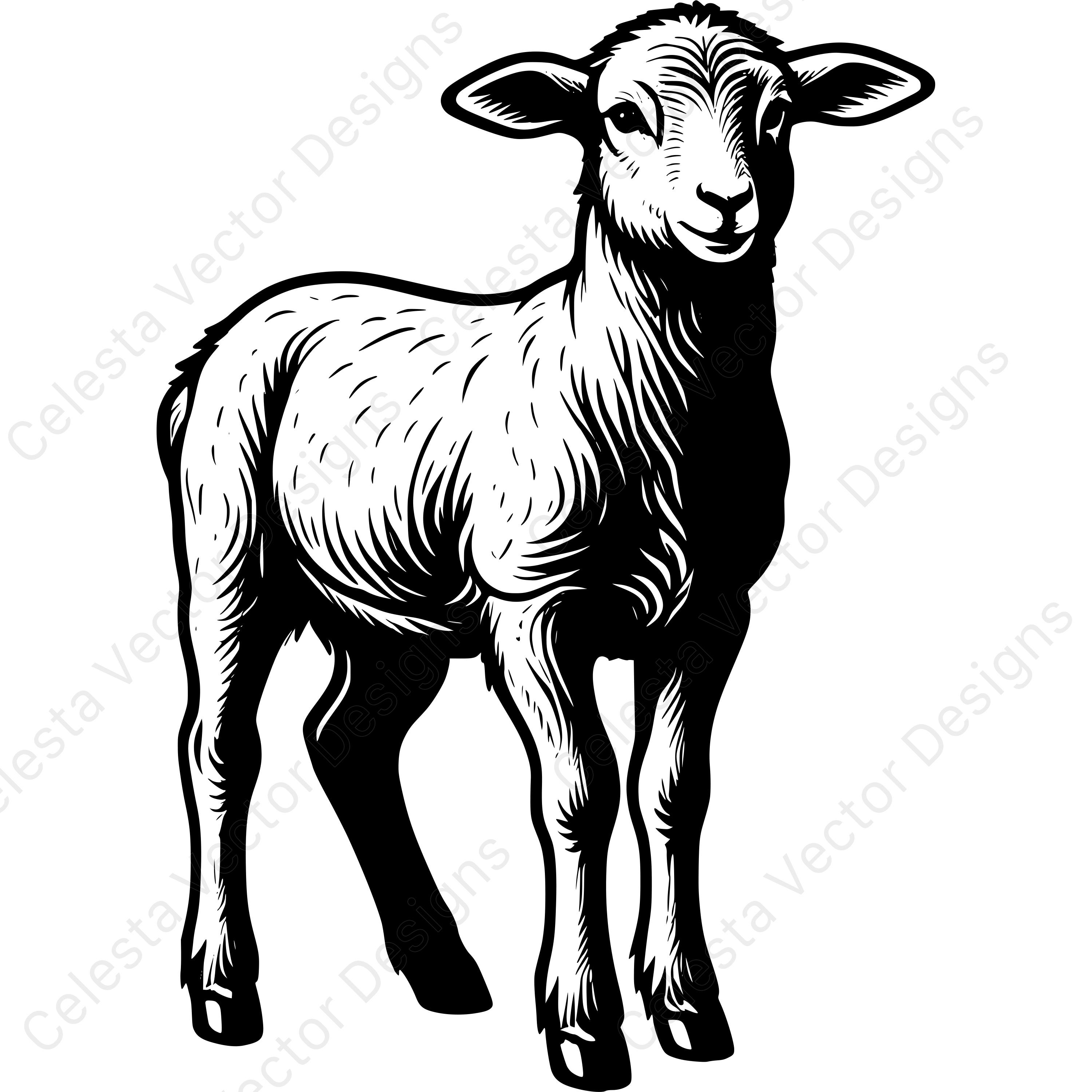 Lamb Portrait Clipart Set, 4 Vector Images for Digital Download, Svg ...