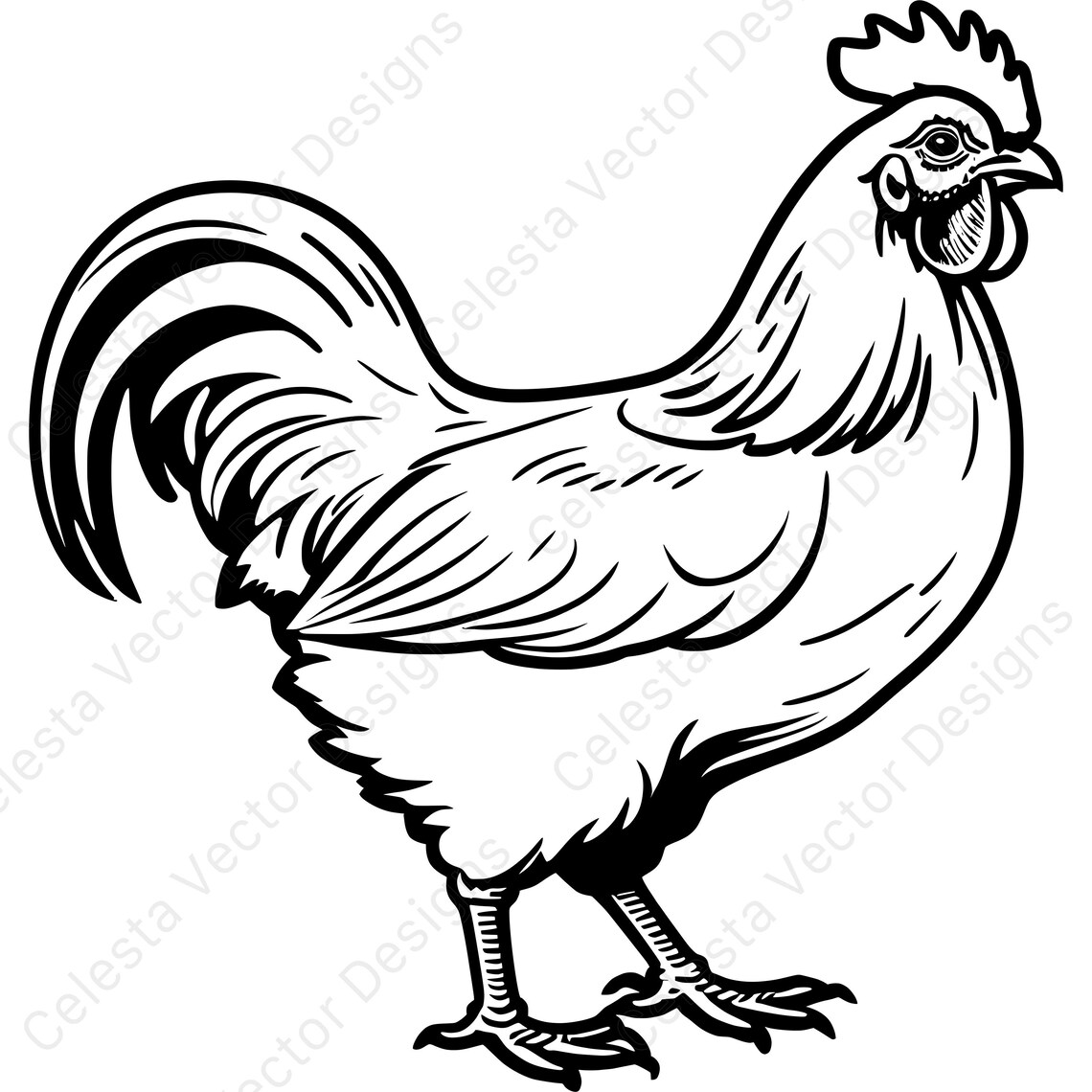 Farm Chicken Vector Clipart Set - 4 Digital Download Images for Cricut ...