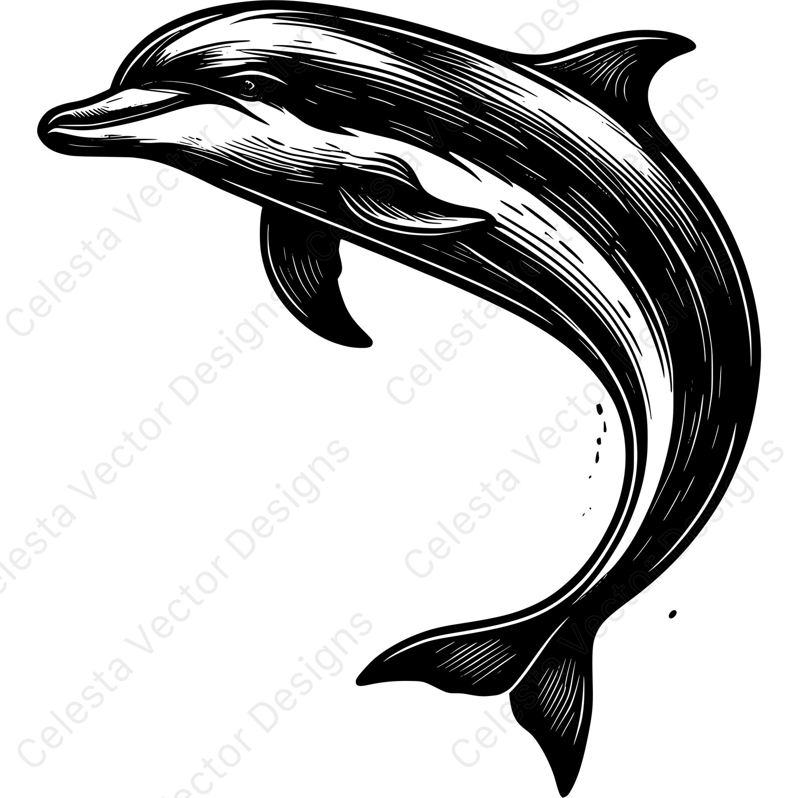 Dolphin Portrait Vector Clipart - 4 Images Digital Download Svg Png Jpg ...