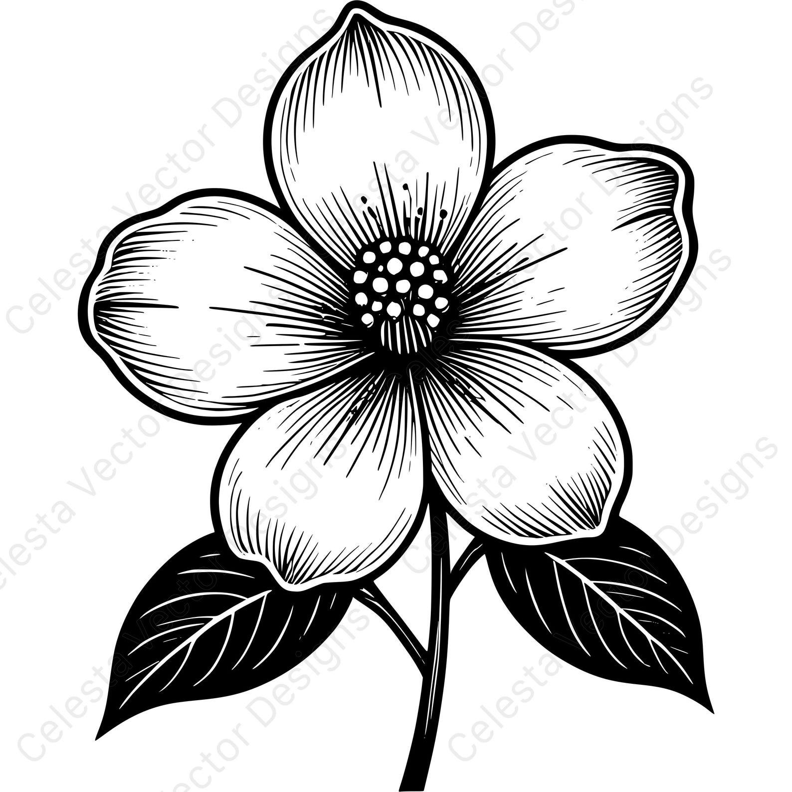 Dogwood Flower Vector Clipart - 4 Digital Download Images for Cricut ...