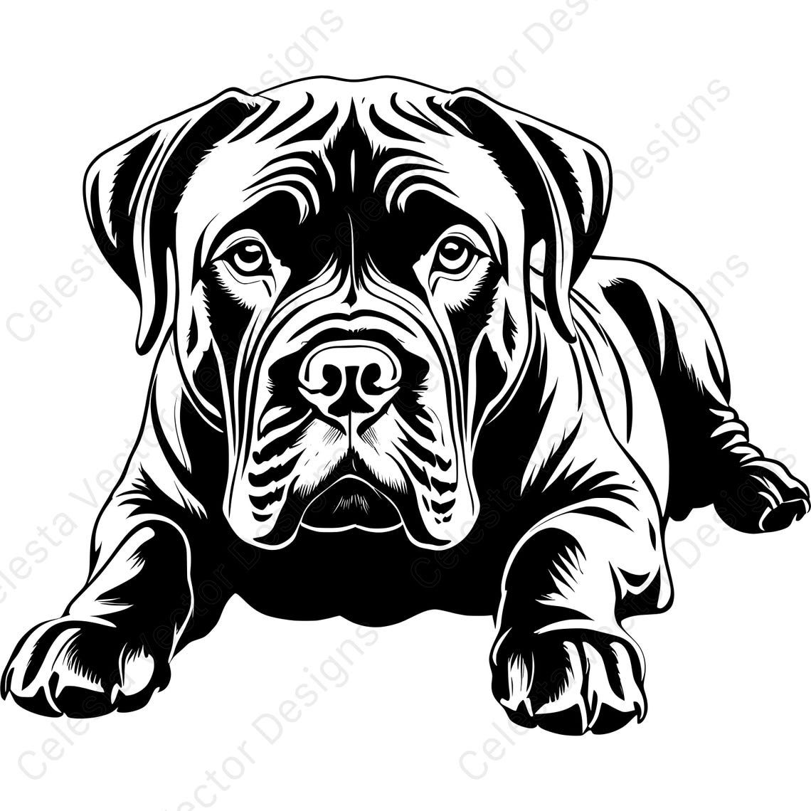 Cane Corso Thoughtful Dog Vector Clipart - 4 Images Digital Download ...