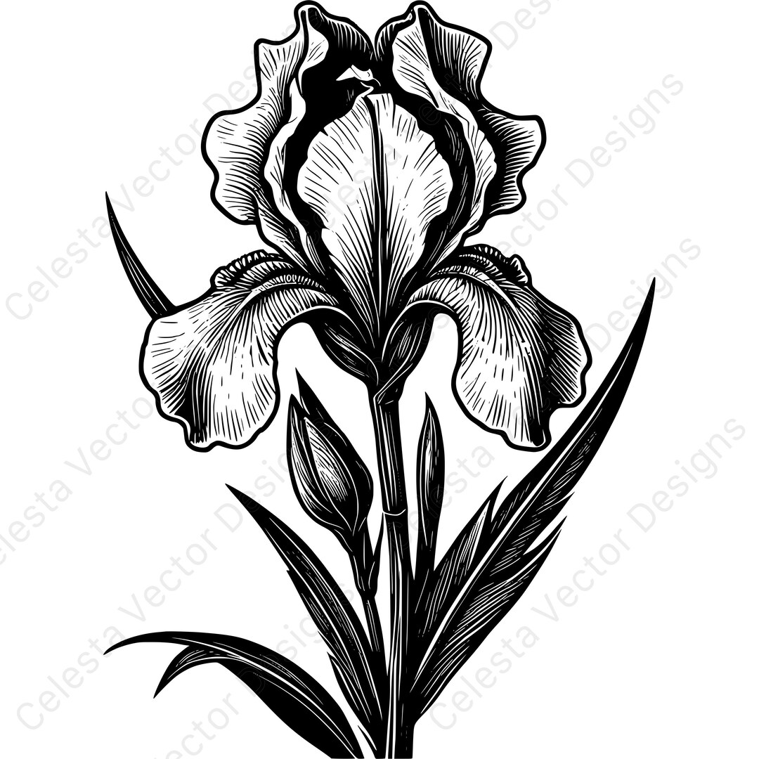 Iris Flower Vector Clipart Set - 4 Digital Download Images for Cricut ...