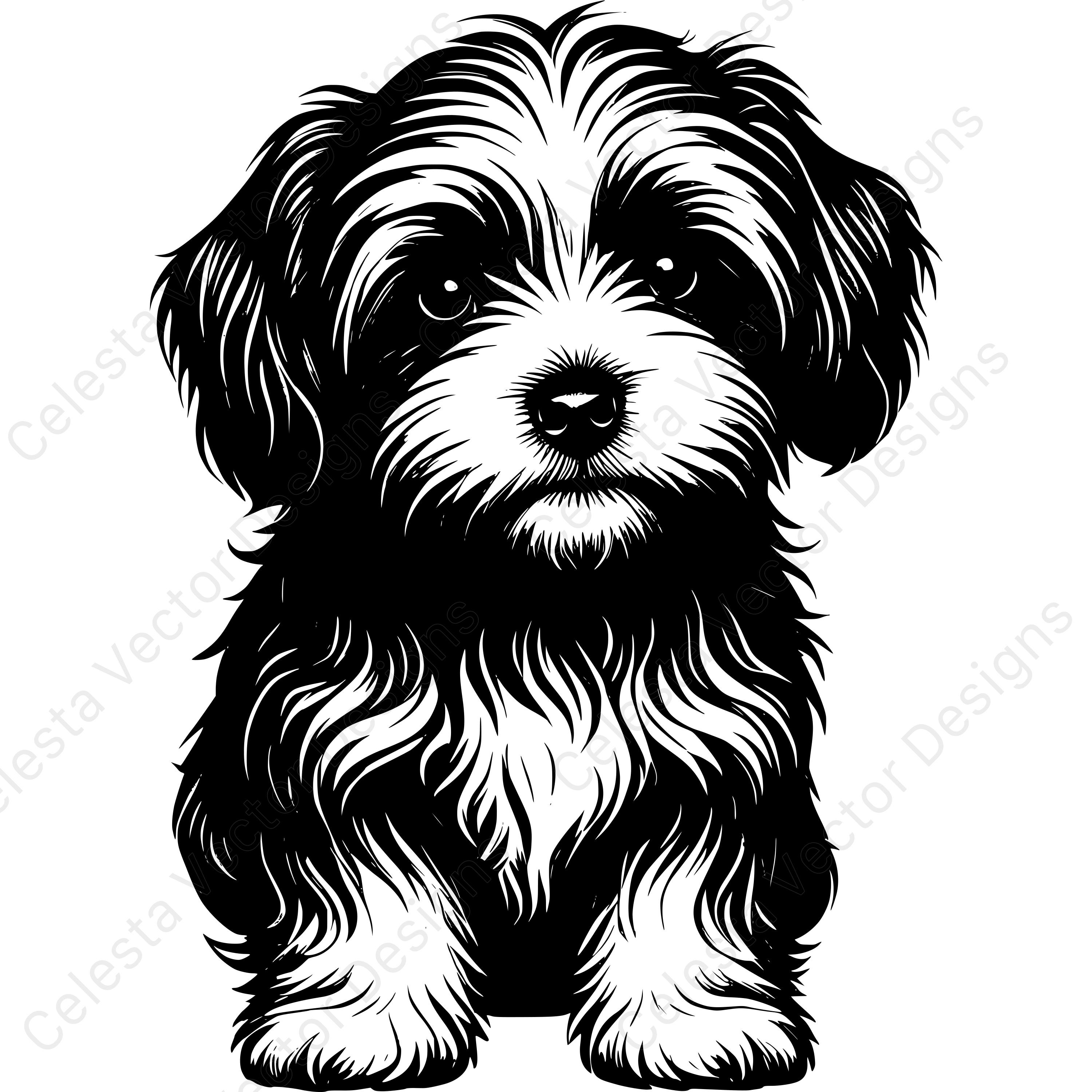 Havanese Dog Portrait Clipart 4 Images Vector Digital Download Svg Png ...