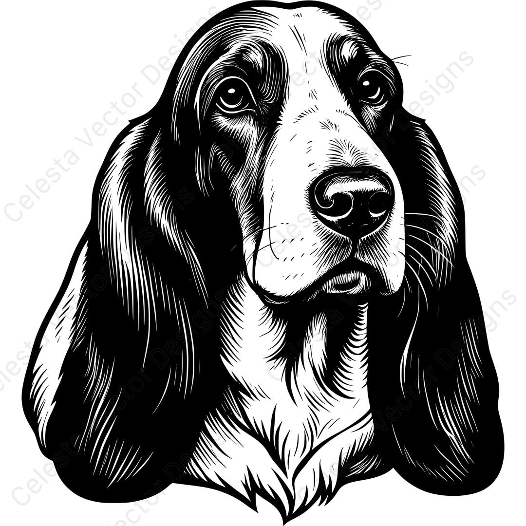 Basset Hound Portrait Vector Clipart Digital Download - 4 Images Svg ...
