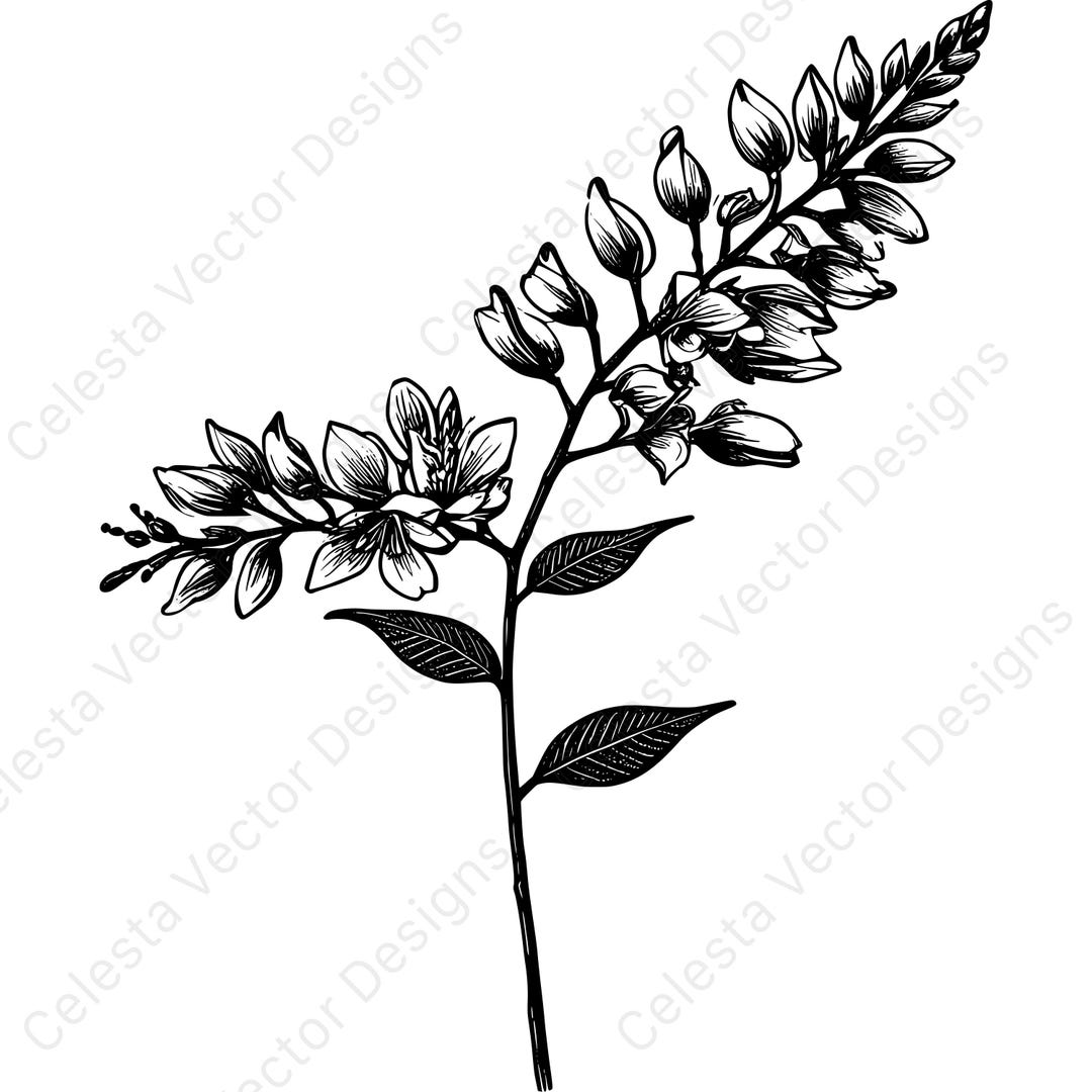 Redbud Flower Clipart Set of 4 - Vector Digital Download for Cricut and ...