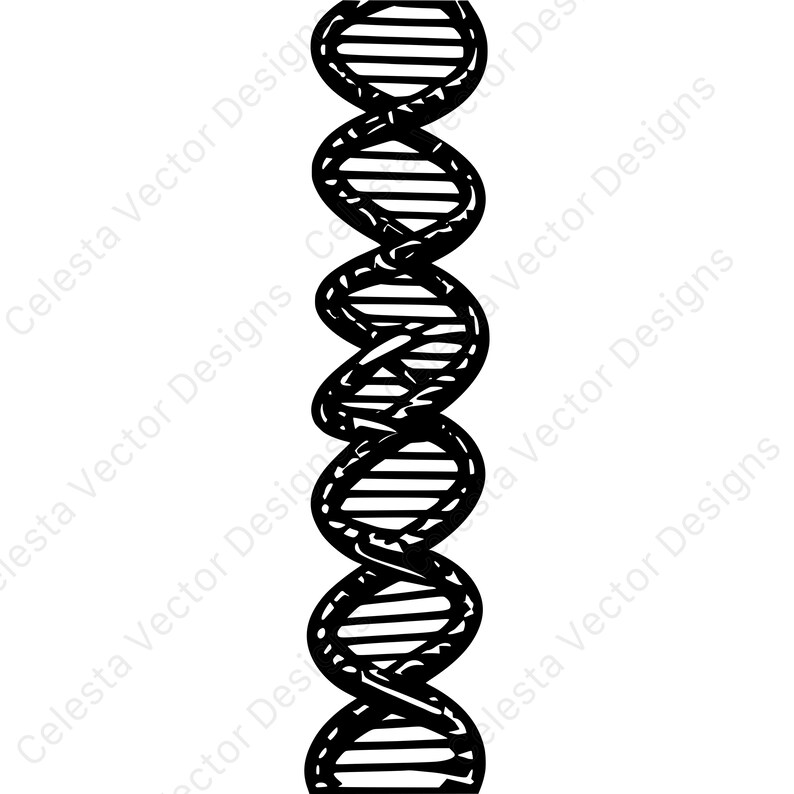 Dna Strand Vector Clipart - 4 Digital Download Images for Cricut ...